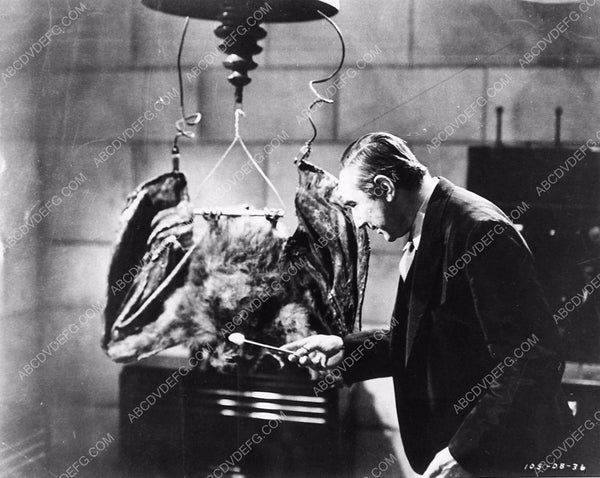 Bela Lugosi putting the bat on the scent film The Devil Bat 1288-17 ...