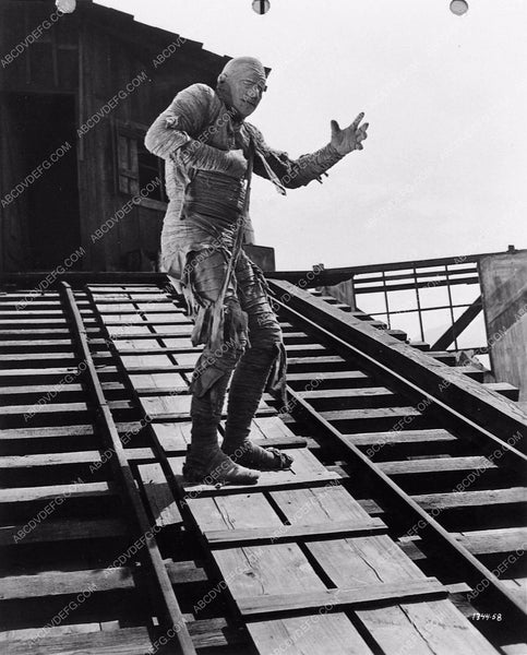 Lon Chaney Jr Mummy's Ghost 1711-30 – ABCDVDVIDEO