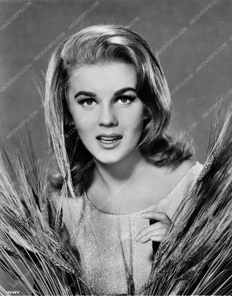 Ann-Margret portrait 2310-12 – ABCDVDVIDEO