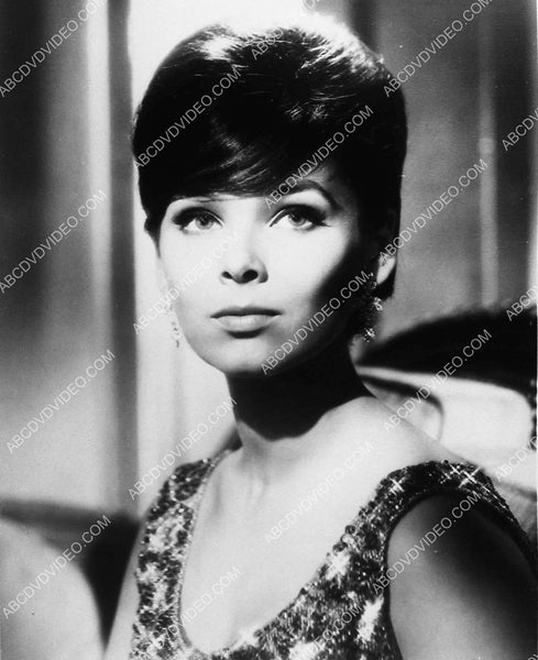 beautiful Yvonne Craig portrait 3105-04 – ABCDVDVIDEO