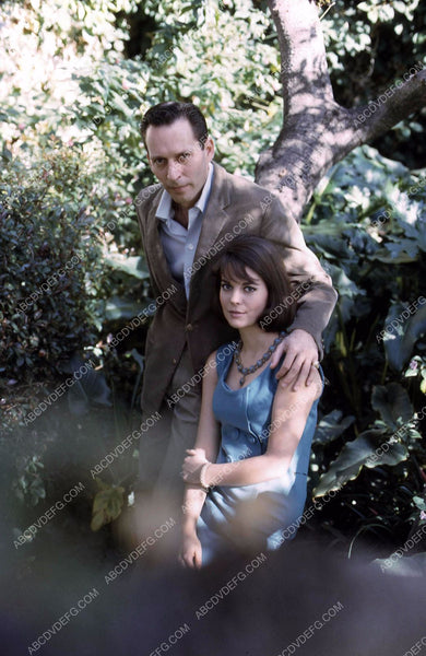 lovely Natalie Wood and Arthur Loew Jr. 35m-13185 – ABCDVDVIDEO