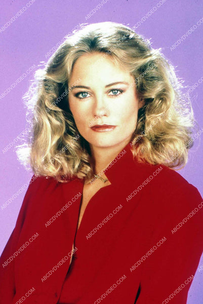 beautiful Cybill Shepherd portrait 35m-17353 – ABCDVDVIDEO