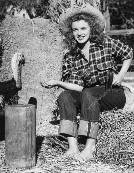 Marilyn Monroe kissing up to the Thanksgiving Turkey 5073-23 – ABCDVDVIDEO