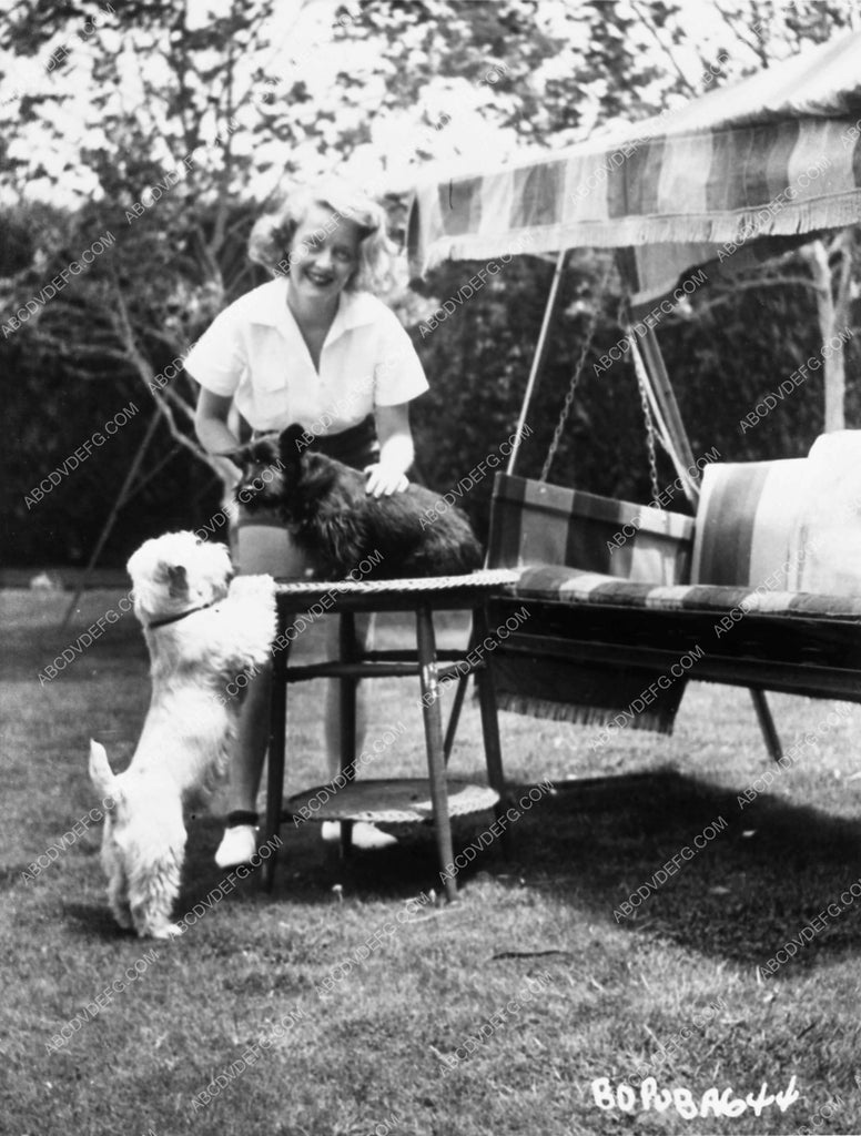 great candid of Bette Davis grooming her dogs 5795-06 – ABCDVDVIDEO