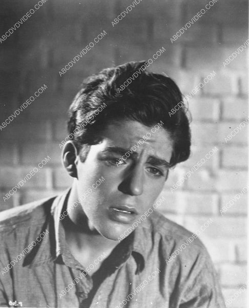 Billy Hallop portrait 6114-12 – ABCDVDVIDEO