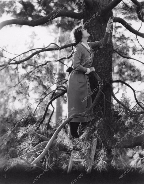 dancer actress Constance Binney silent film The Love Complex 8b6-624 ...