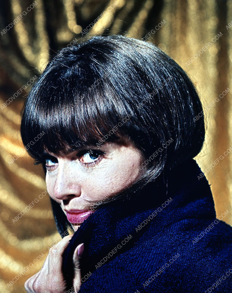 Barbara Feldon great fashion portrait 8b20-10085 – ABCDVDVIDEO