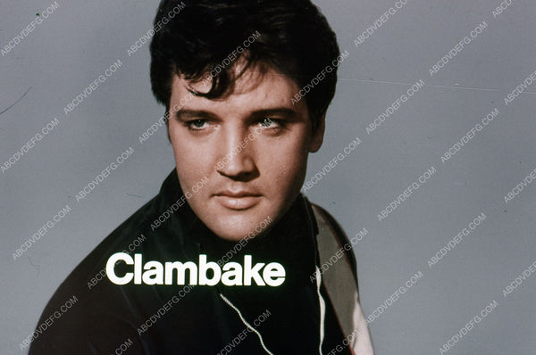 Elvis Presley promo pic for Clambake 8b20-10164 – ABCDVDVIDEO