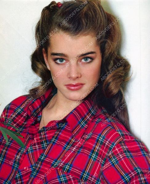 beautiful Brooke Shields portrait 8b20-10520 – ABCDVDVIDEO