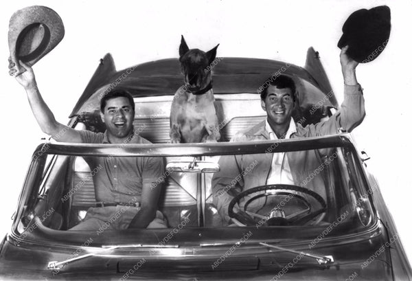 Jerry Lewis Dean Martin and dog in convertible film Pardners 8b20-1285 ...