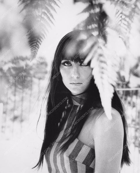 Cher out in the garden pic 8b20-12992 – ABCDVDVIDEO