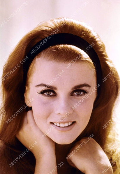 beautiful Ann-Margret portrait 8b20-13349 – ABCDVDVIDEO