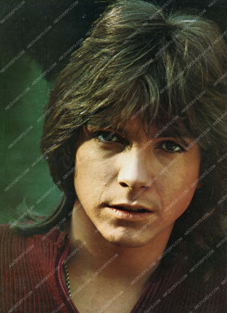 Cool David Cassidy Portrait 8b20 13864 Abcdvdvideo