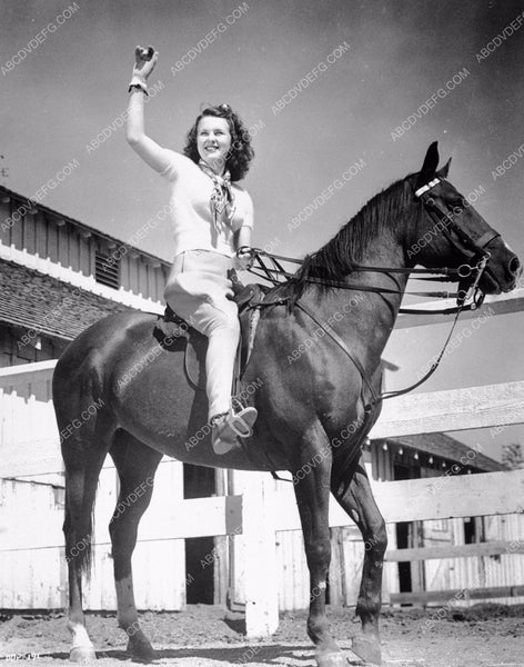 Deanna Durbin going for a horseback ride 8b20-14326 – ABCDVDVIDEO