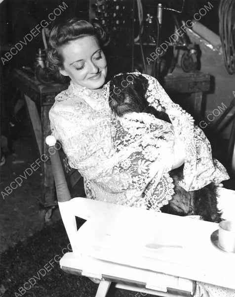 candid Bette Davis with her dog 8b20-16268 – ABCDVDVIDEO