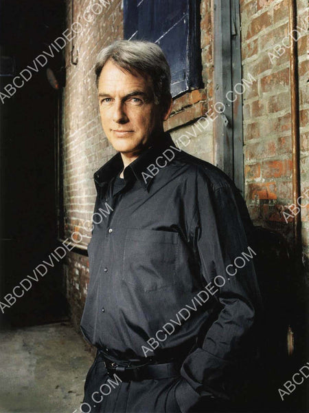 Mark Harmon portrait TV NCIS 8b20-19223 – ABCDVDVIDEO