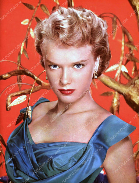 beautiful Anne Francis portrait 8b20-4196 – ABCDVDVIDEO