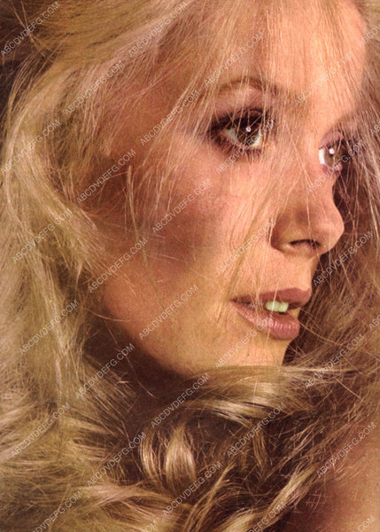 beautiful Catherine Deneuve portrait 8b20-6228 – ABCDVDVIDEO