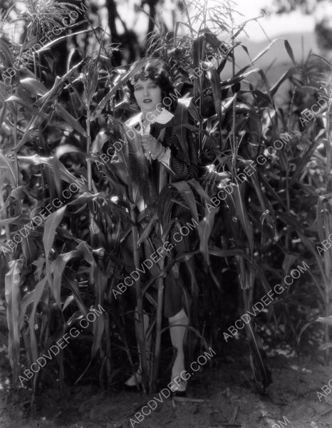 Corinne Griffith standing in the corn field 8b20-7125 – ABCDVDVIDEO