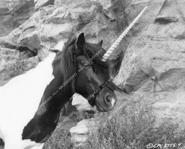crp-11895 1959 mythical creature Unicorn film Have Rocket Will Travel ...