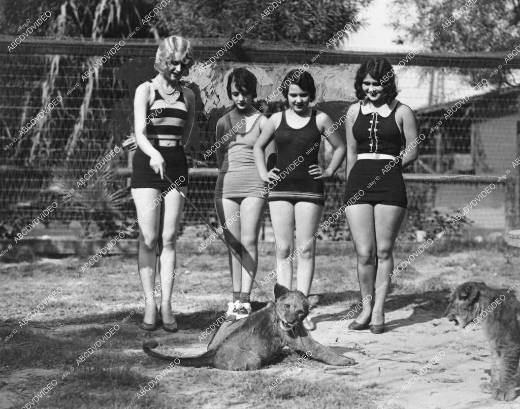 crp-13827 1928 pre-code chorus girl dancers Paula Hays, Evelyn Baker ...