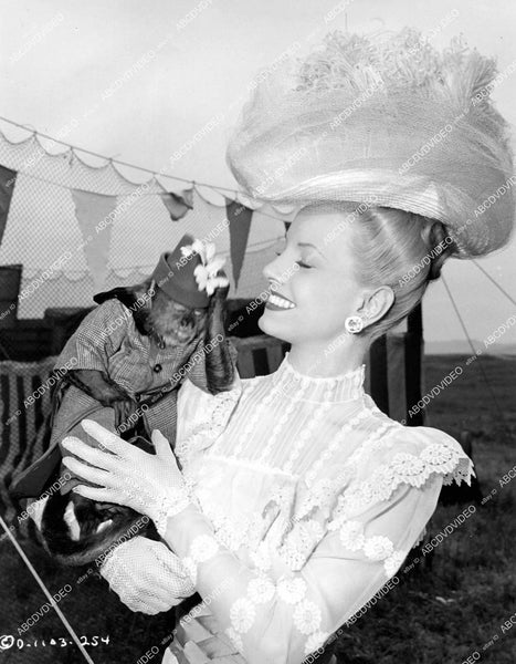 crp-15072 1946 pretty Janet Blair w a monkey film Gallant Journey crp ...