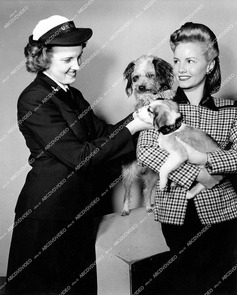 crp-16499 1945 Janet Blair & Pat Searles induct dogs into WWII WAVE pr ...