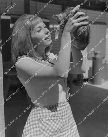 crp-01663 1963 lovely Liliane Brousse playing w a kitten Hammer film M ...
