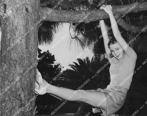 crp-03561 1948 pretty Jean Fulton, Miss South Africa, gets Hollywood c ...